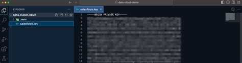 How To Use The Python Connector For Data Cloud Salesforce Developers Blog