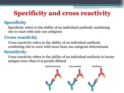Ppt Antigen Antibody Reactions Powerpoint Presentation Free Download Id610312