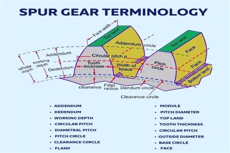 Spur Gears An Introduction To Types And Uses