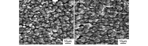 Sem Micrographs Showing Surface Topographies Of Failed Tensile