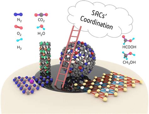 Electrocatalysis Of Single Atom Sites Impacts Of Atomic Coordination
