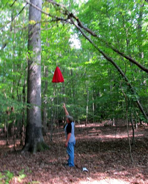 Bear Muda Triangle Spezia Survival People