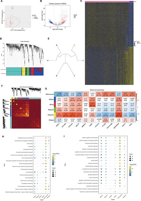Construction Of A Dysregulated Gene Co Expression Module In