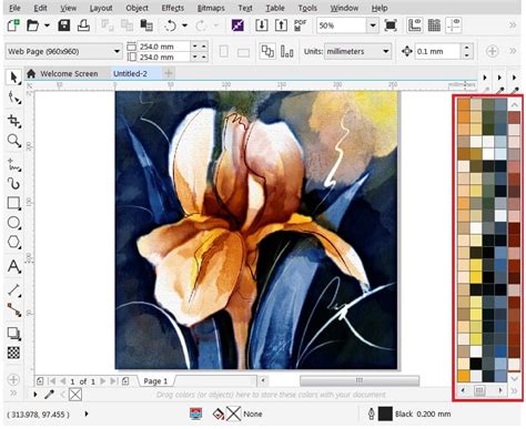 Creating Custom Color Palettes Corel Discovery Center
