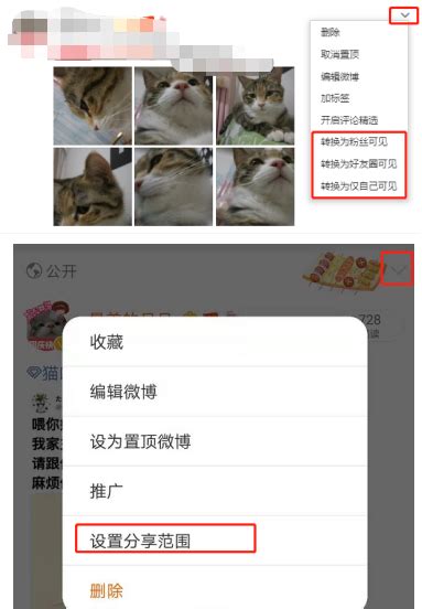 点击查看 为什么设置了仅自己可见，微博阅读数还在增长