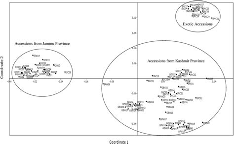 Principal Coordinate Analysis Pcoa Of 106 Apricot Accessions Download Scientific Diagram