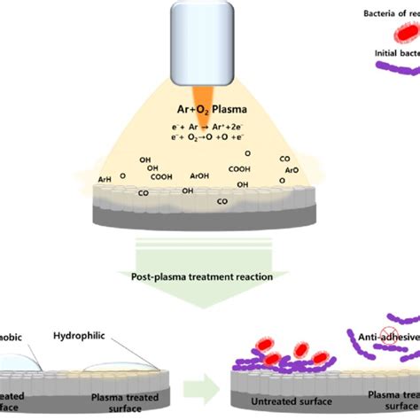 Schematic Of A Summary Of Possible Events On The Plasma Treated Tio2