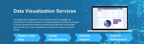 data visualization services lilia taran
