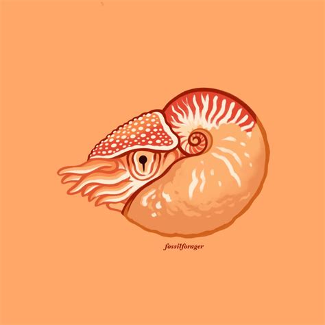 Dainty Persnickety Dingo