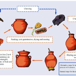 Flow Diagram Depicting The Production Process Of Chicha Depending On Download Scientific
