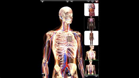 Zygote 3d Anatomy Atlas And Dissection Lab App Rendering Youtube