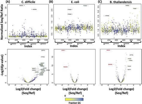 Sequence Bias Informs K Mer Bias During Sequencing Top Download