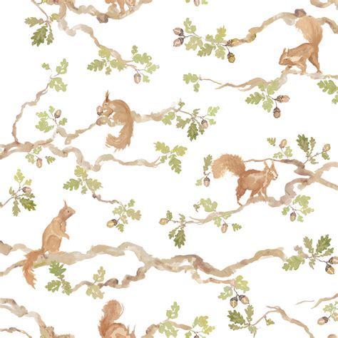 Squirrel Patterns Wallpapers Wallpaper Cave