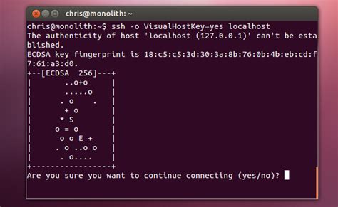 Info Visualisation Using Color And Graphics To Improve Visualhostkey And Make Comparing