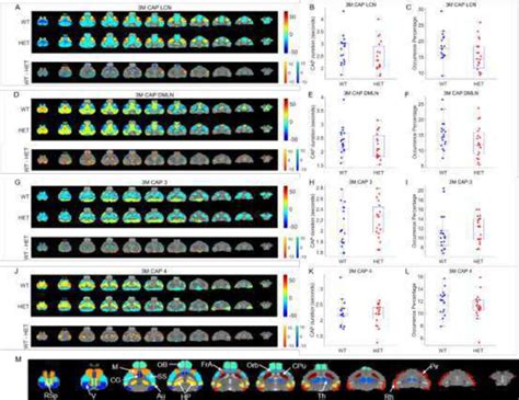 Comparison Of Spatial And Temporal Properties Of 4 Out Of 8 Caps At The