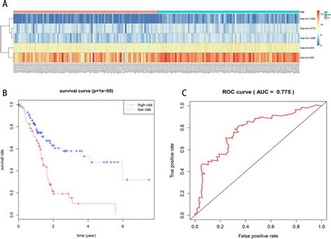 Tcga Rna Seq Data Reaveals A Five Microrna Signature For Survival Prognosis In Pancreatic