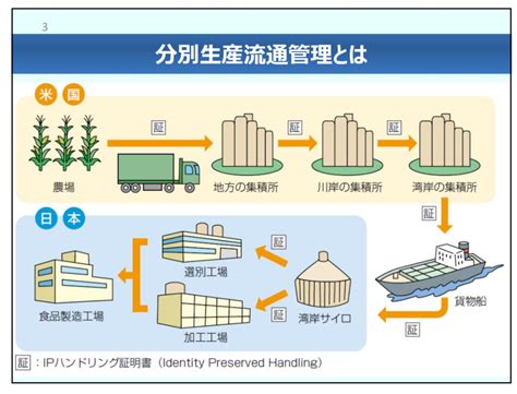 生協コープかごしま商品の遺伝子組み換え表示について 生協コープかごしま