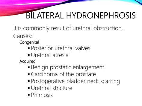 Hydronephrosis And Pyonephrosis Pptx