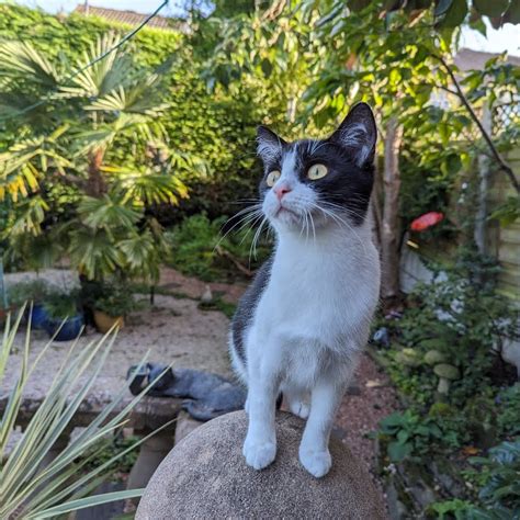 Post From Daniel Staniforth