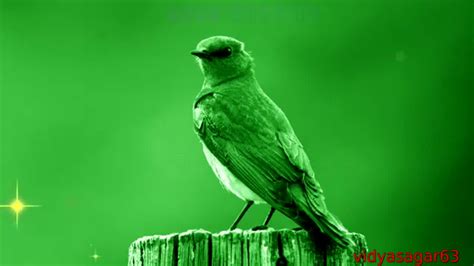 Video Hira Batool On Linkedin Goodmorning Love World Respect