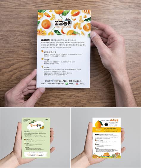감귤 전단지 황금향 레드향 한라봉 천혜향 제주 과일 농장 체험 전단지 디자인 제작 인쇄