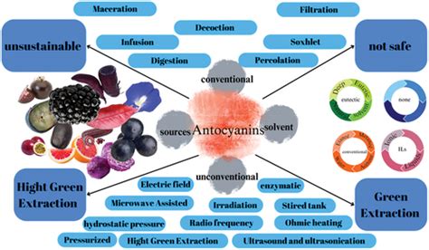 Full Article Anthocyanin Extraction Methods Synthesis Of Morpho Anatomical Knowledge For
