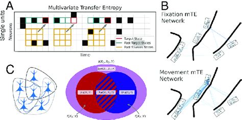 Information Dynamics Inference Of Multivariate Transfer Entropy Mte Download Scientific