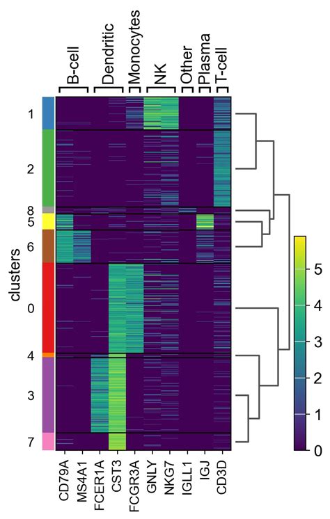 单细胞分析 Scanpy 核心绘图 3 阿里云开发者社区