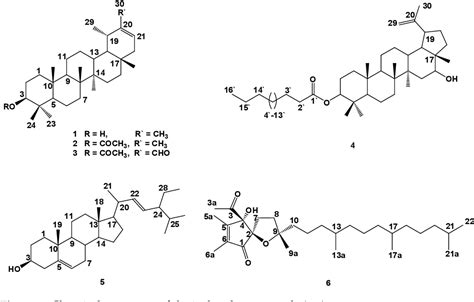 Figure 1 From Phytochemical Characterization In Vitro Anti Inflammatory Anti Diabetic And