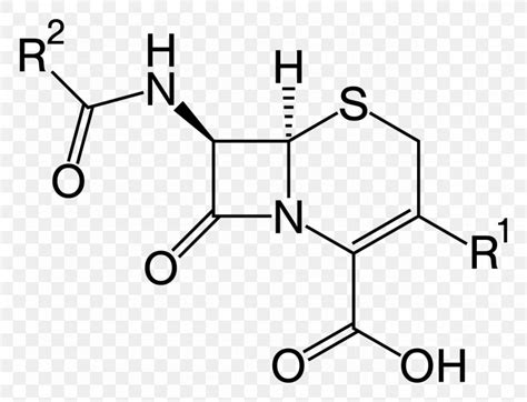 Cephalosporin β Lactam Antibiotic Cephamycin Cephem Beta Lactam Png