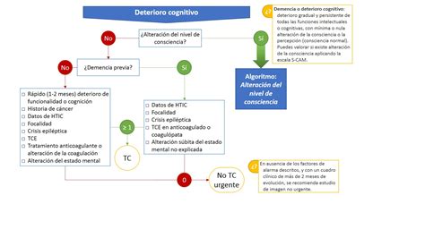 Algoritmo De Imagen Ante Deterioro Cognitivo En Urgencias Página 5