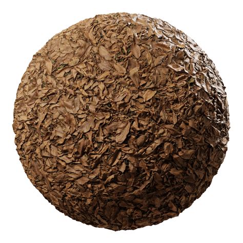 Forest Ground Textures Poliigon