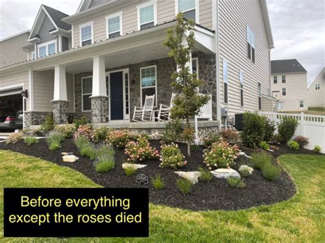 Layering Front Garden Design