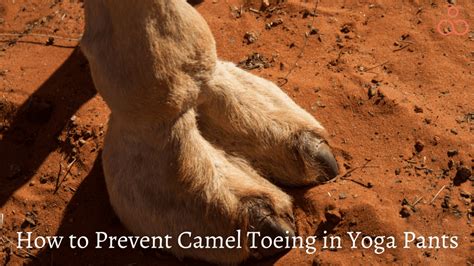 How To Prevent Camel Toeing In Yoga Pants Easy Fixes