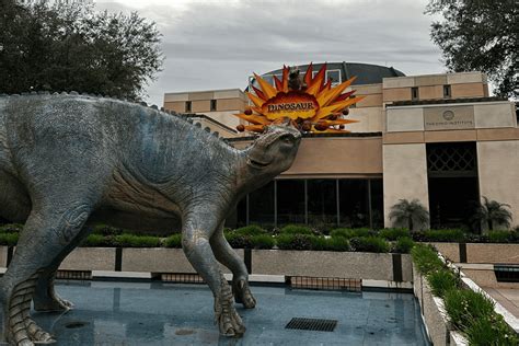 After Delays Disney World Moves Forward With Encanto Land