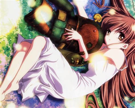 Wallpaper Sleeping Anime Girl In The Grass 1920x1200 Picture Image