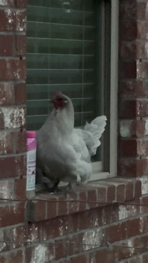 Anthony Miller Sml Anthony • Instagram Photos And Videos