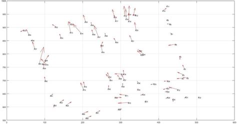 Point Position Vectors Between A Calibrated Parameter Orthophoto And