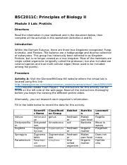 Module Lab Protists Docx BSC C Principles Of Biology II Module Lab Protists