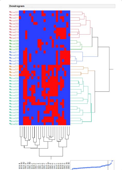 dendrogram obtained from upgma showing the genetic relationship between