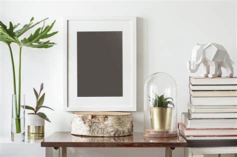 빈티지 포스터 프레임 식물 열 대 모의 공간의 인테리어 Leafs 책과 흰 코끼리 그림 Shelfie 개념입니다 벽에 대한 스톡