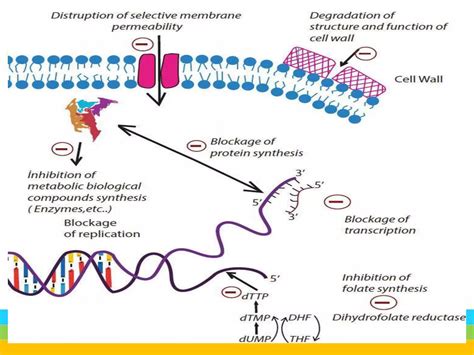 Antibacterial Chemicals Bactericidal And Bacteriostatic Agents Pptx Infectious Diseases