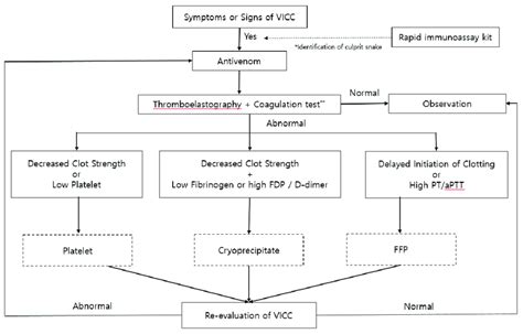 Proposed Treatment Algorithm In Venom Induced Consumptive Coagulopathy Download Scientific