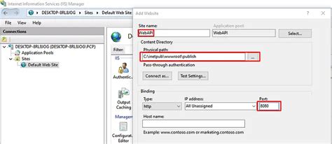 host and publish core 6 web api application on iis server dev