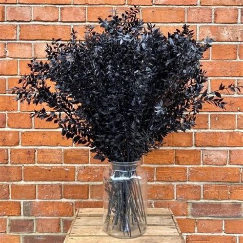 Ruscus Black Dried Flower At ₹ 759pack Dried Flower In Rohtak Id