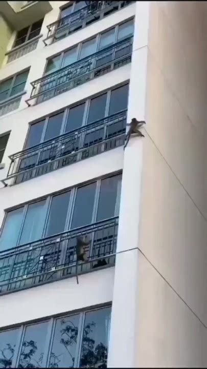 🎯 Igor Rajnjak 🎯 On Linkedin Scrum Agile Retro Agilecoaching