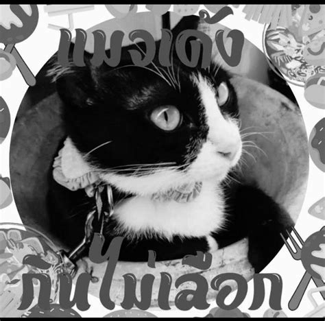 Iron ถ้าไปสวนสนุก…ของกินที่ “ห้ามพลาด” คืออะไร 🍿🍦🍗 เล่นเครื่องเล่นว่าสนุกแล้ว แต่ถ้าไม่ได้กิน