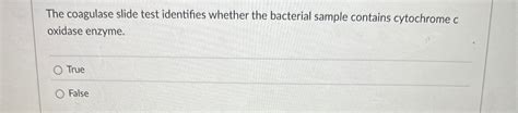 Solved The Coagulase Slide Test Identifies Whether The