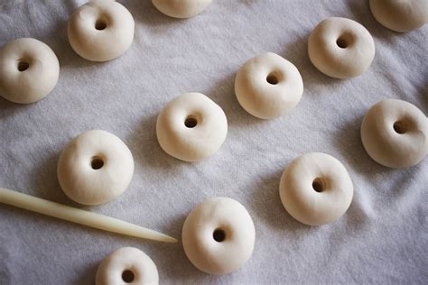 Class101 손에서 피어나는 쌀 꽃 팥꽃나무의 떡 만들기