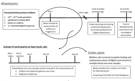 Protocol With Details Of Biological Sample Collection Nicu Neonatal Download Scientific